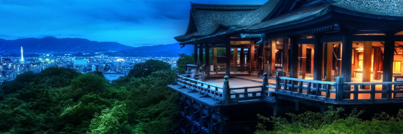 Terms of Service – DDL